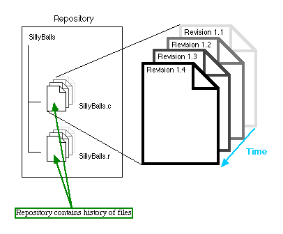 Understanding More CVS